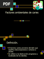 Teorías de Caries y Triada de Keyes | PDF | Las bacterias | Diente