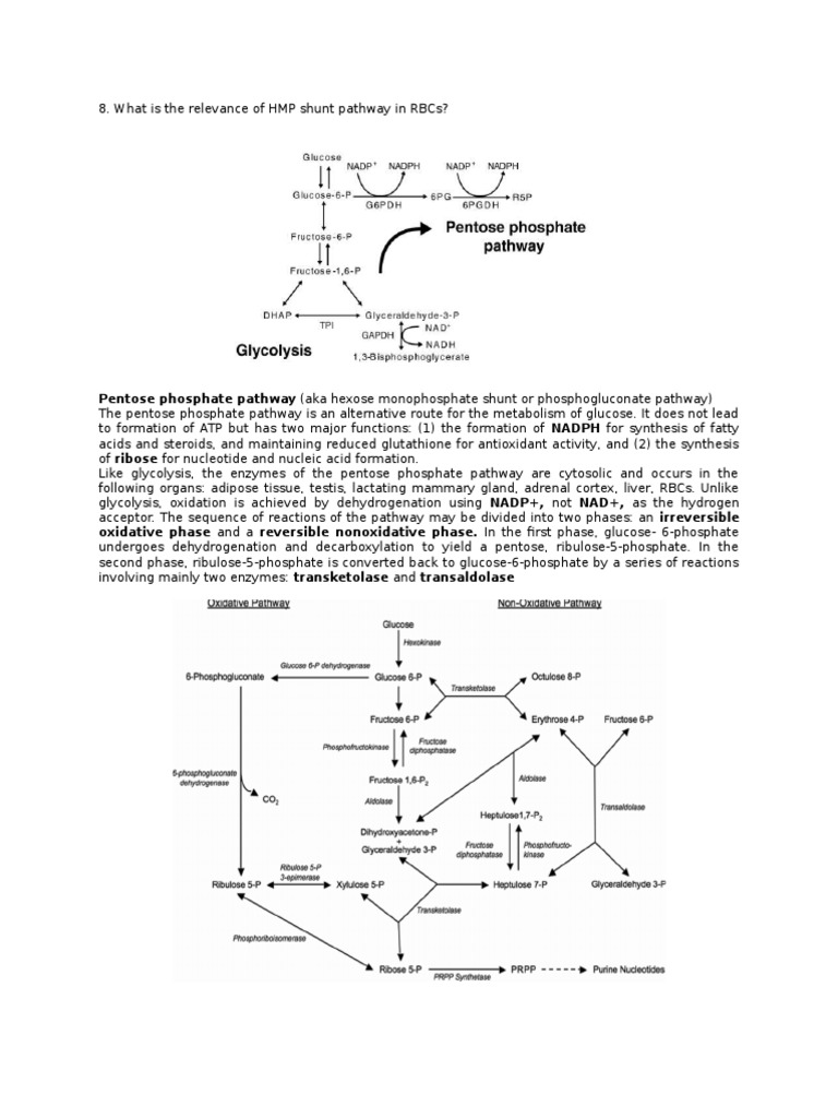 Pentose Phosphate Pathway (Aka Hexose Monophosphate Shunt or ...