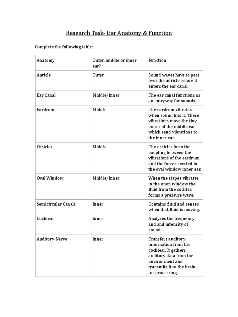 Ear Anatomy and Functions Explained | PDF | Foreign Language Studies ...