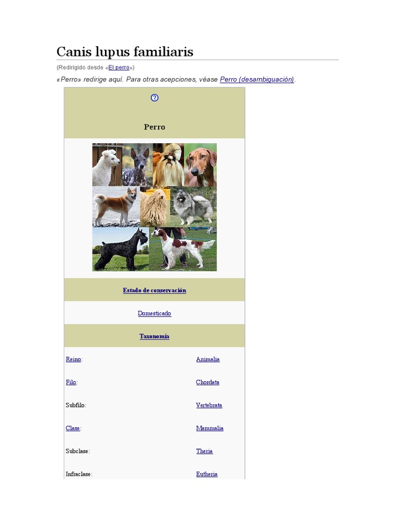 El Perro | PDF | Perros | Subespecie De Canis Lupus