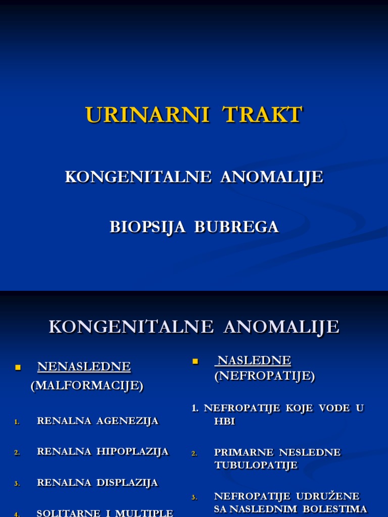 Urinarni Trakt | PDF