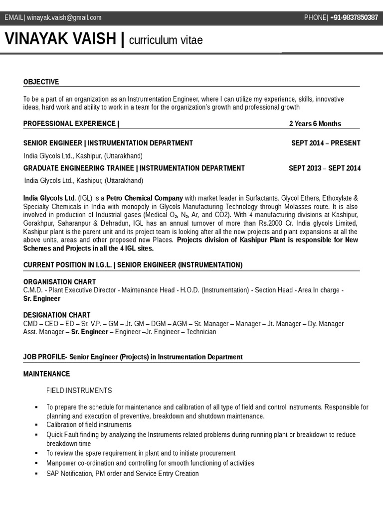 Vinayak CV | PDF | Control System | Systems Engineering