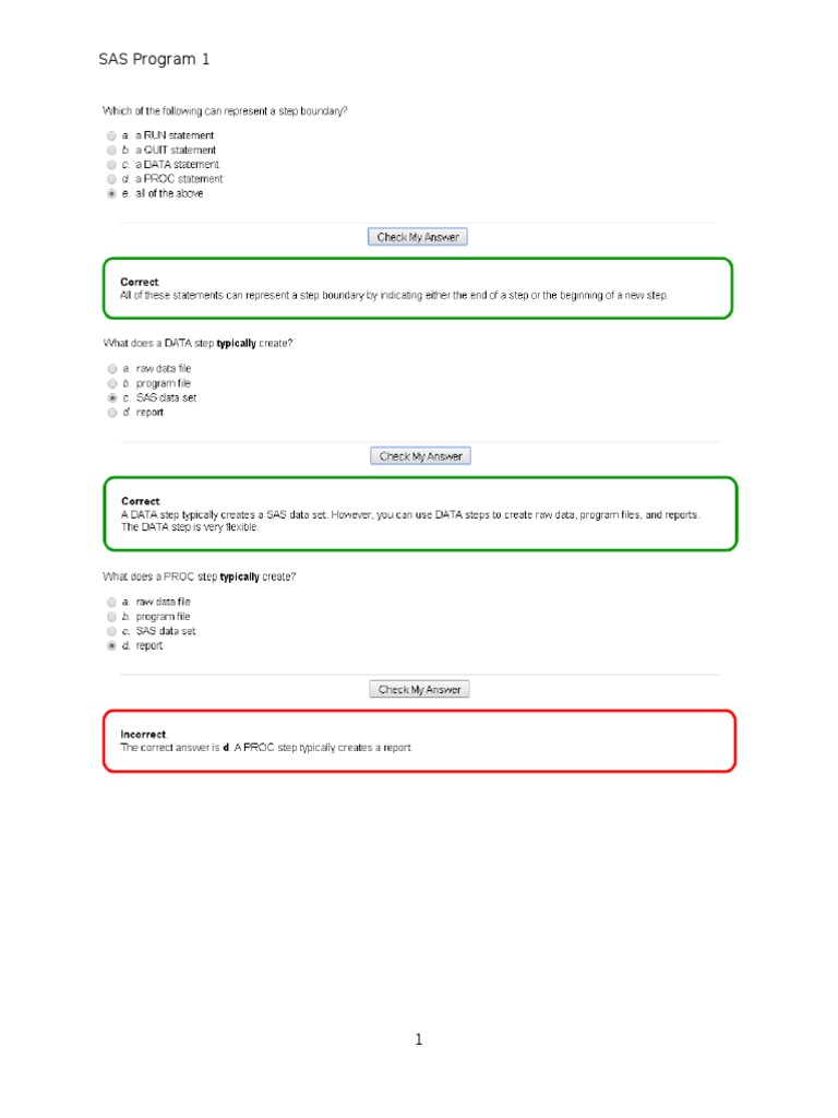 SAS Program Essentials Overview | PDF