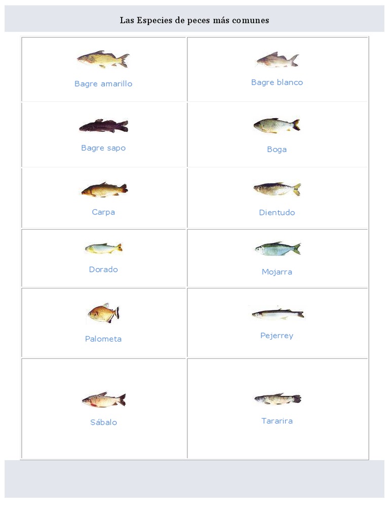 Las Especies de Peces Más Comunes | PDF | Pesca recreativa | Pescado