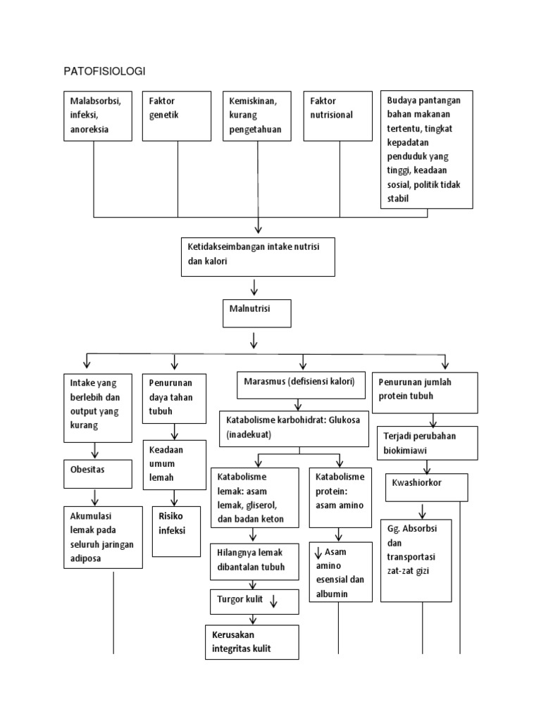 Patofisiologi Gizi Buruk - Perumperindo.co.id