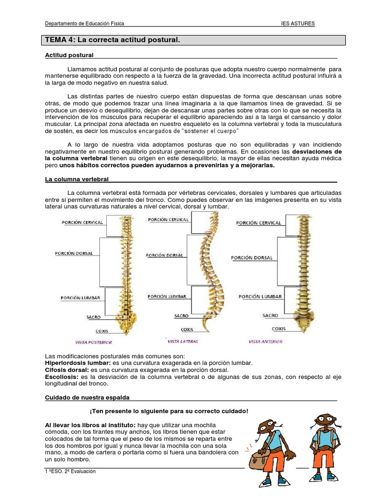 TEMA 4.la Correcta Actitud Postural | PDF | La columna vertebral | Sistema musculoesquelético