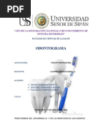 Códigos de Diagnósticos y Tratamientos Yo Procedimientos Dentales en El CIE 10 | PDF | Diente ...