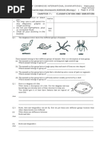 Dichotomous Key Practice Worksheets | PDF | Foreign Language Studies