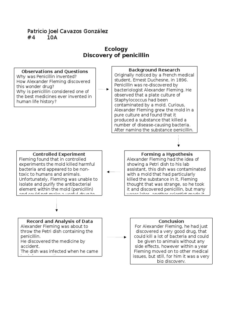 Alexander Fleming's Penicillin Discovery | PDF | Penicillin ...
