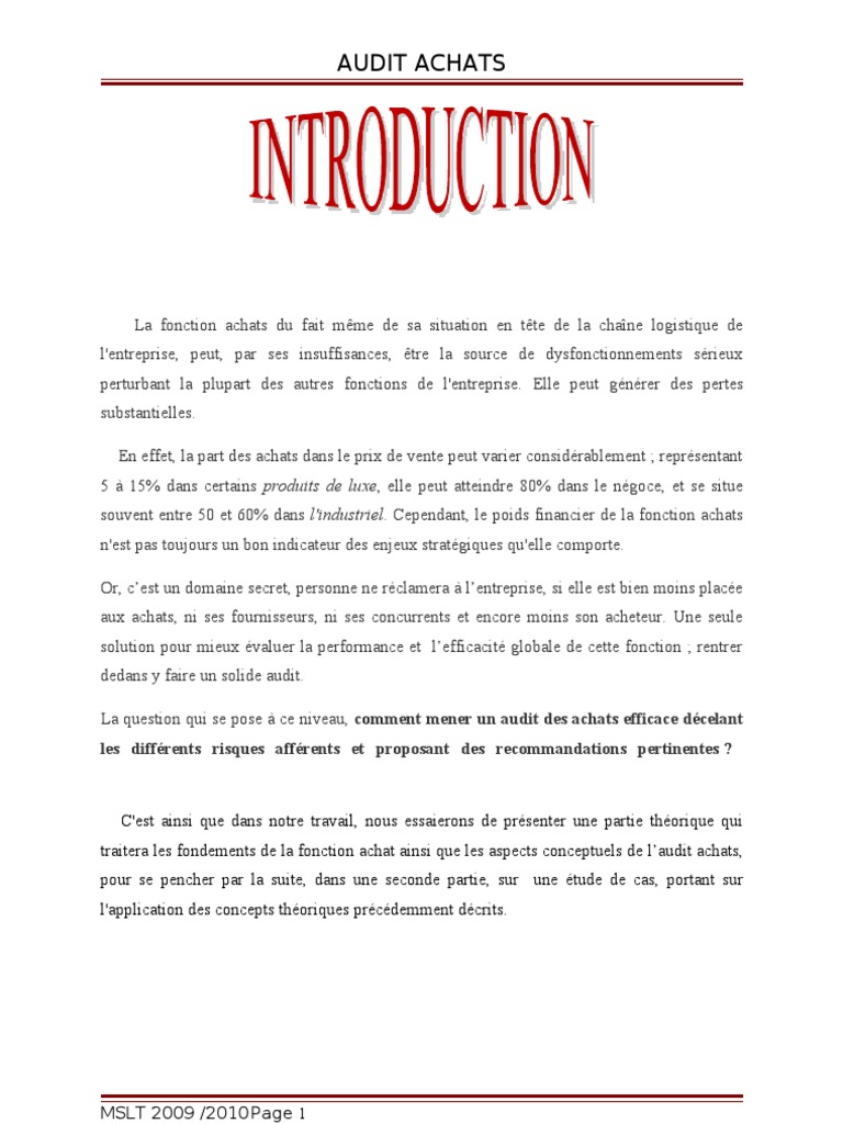 Audit Achat | PDF | Risque | Audit