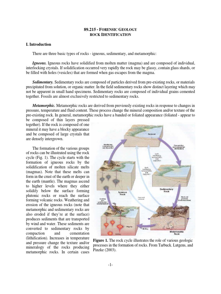 Forensic Geology: Rock Classification | PDF | Rock (Geology) | Igneous Rock