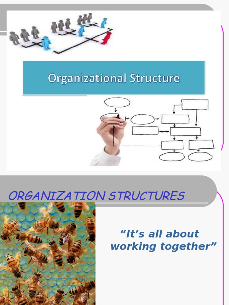 Organization Structures for Slide Show | Organizational Structure ...