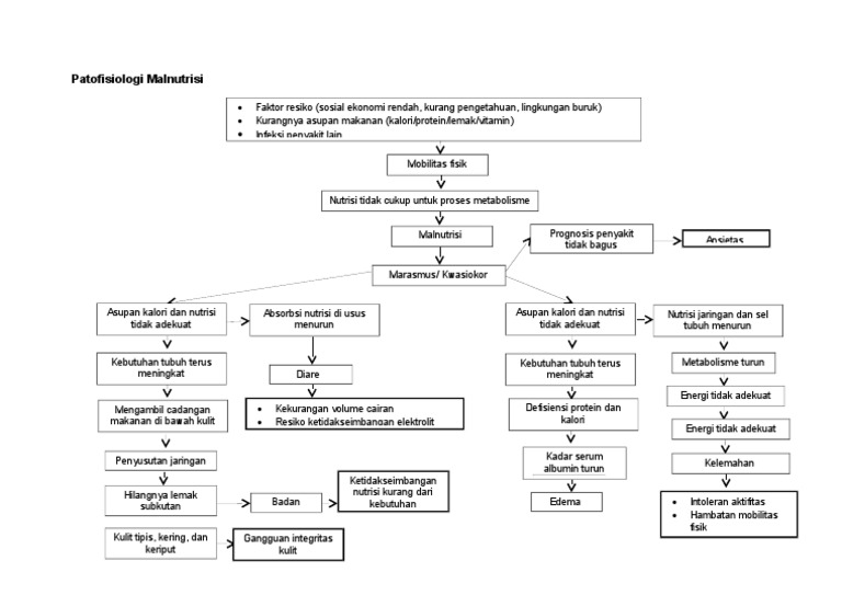 Patofisiologi Malnutrisi | PDF