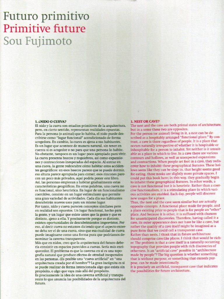 Primitive Future - Sou Fujimoto | PDF