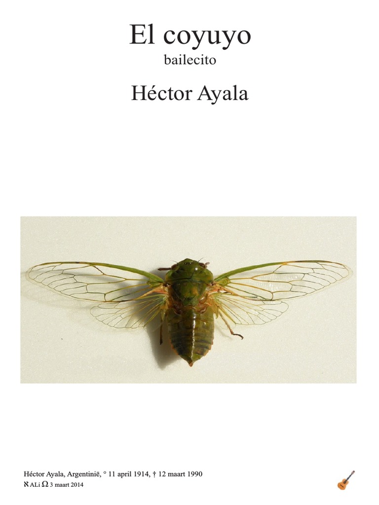 Ayala El Coyuyo | PDF