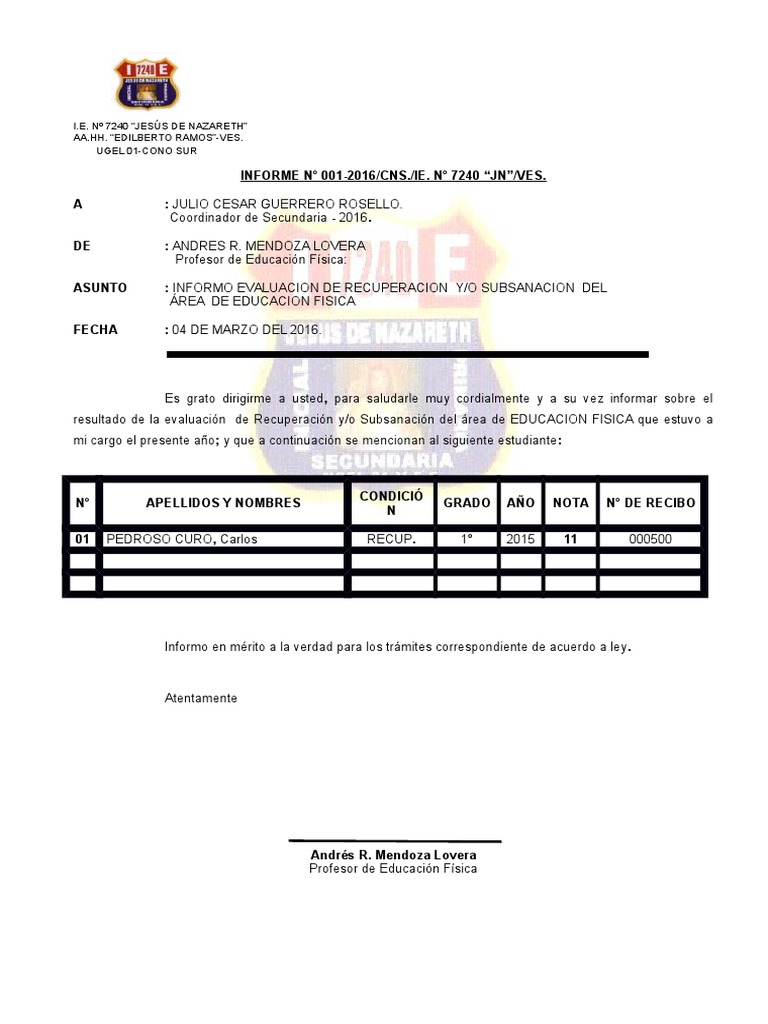 Modelo de Informe de Examen de Subsanación. | PDF