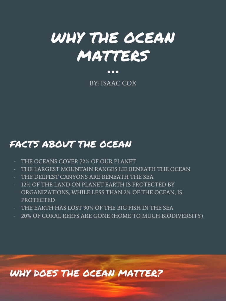Why The Ocean Matters | PDF | Oceans | Earth