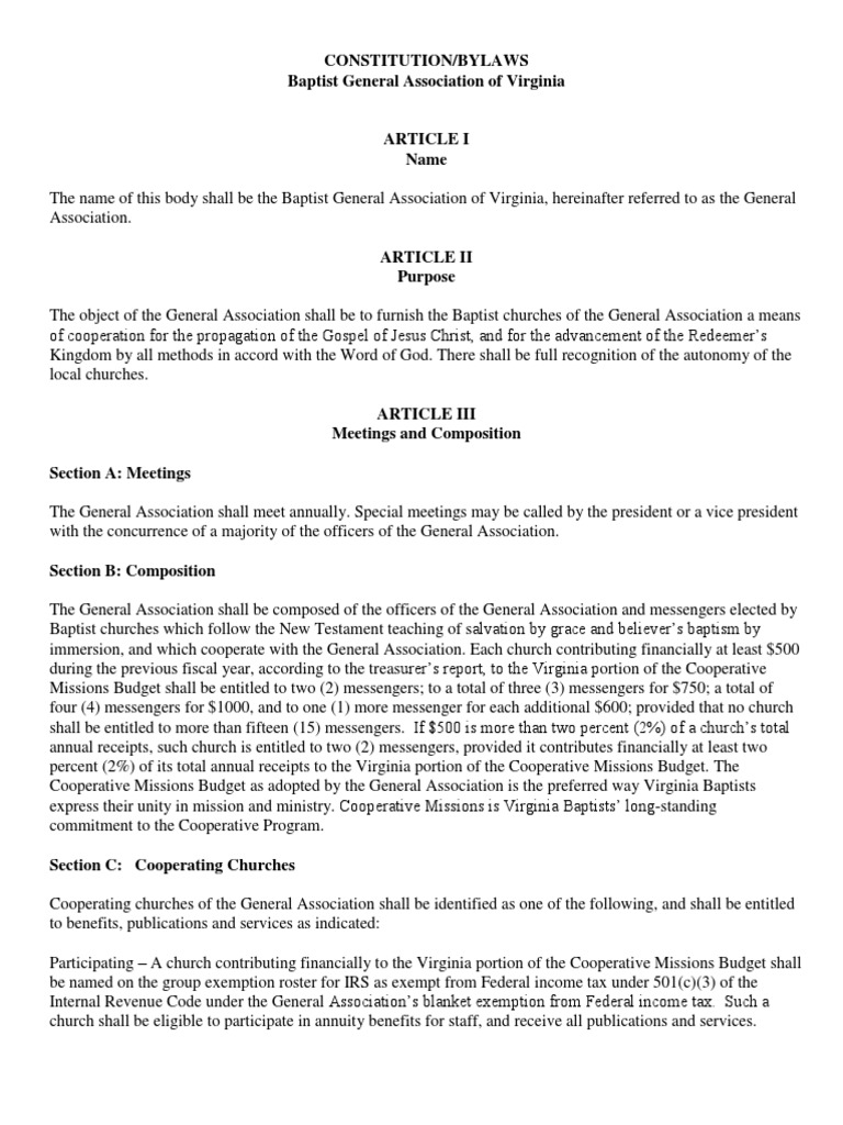 BGAV Constitution/Bylaws | PDF | Board Of Directors | Constitutional ...