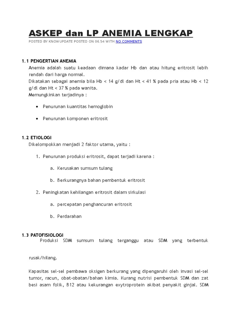 Askep Dan LP Anemia Lengkap | PDF
