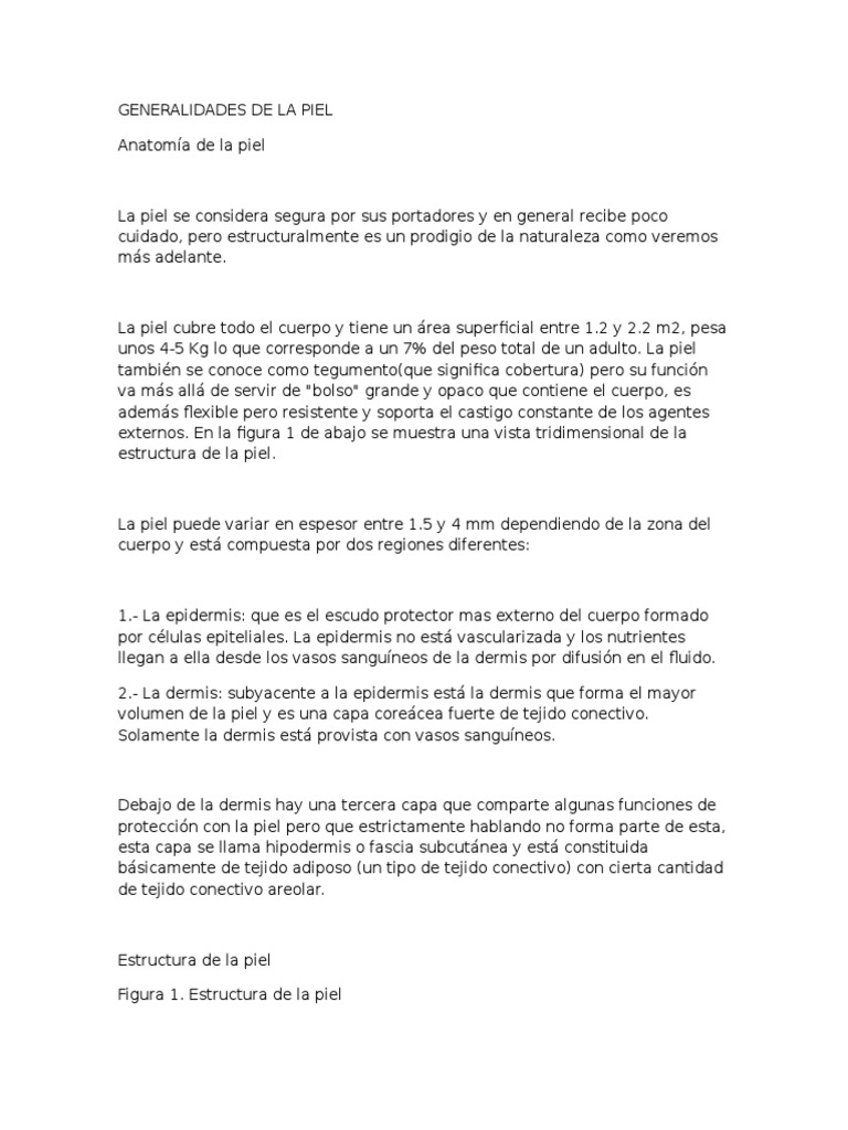 Generalidades de La Piel | PDF | Epidermis | Piel