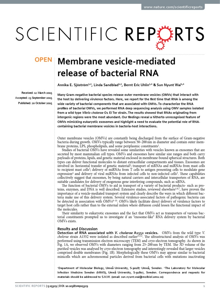 Omv Rna Isolation | PDF | Dna Sequencing | Bacteria