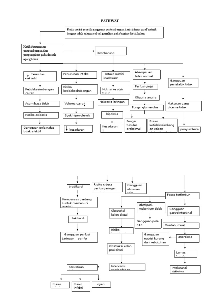 Pathway Hisprung | PDF