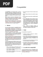 Lexique Termes Comptables | PDF | Comptabilité | Capitaux propres