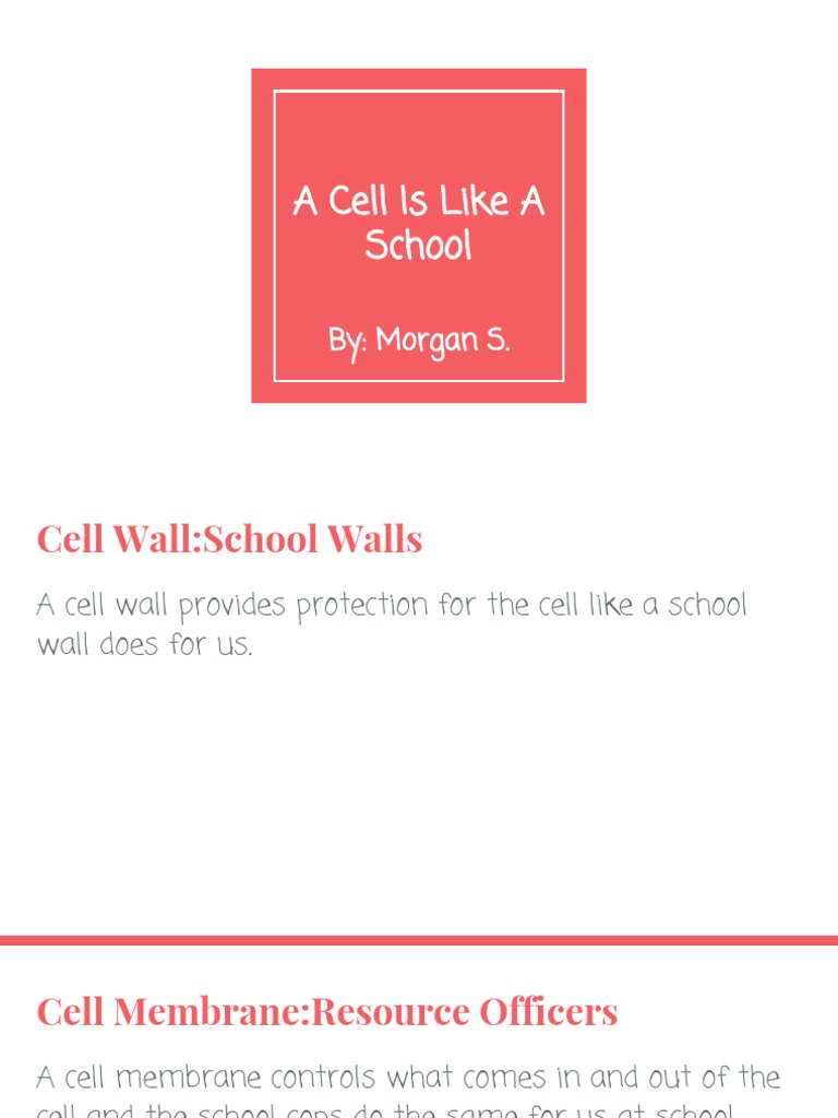 A Cell Compared to a School | PDF