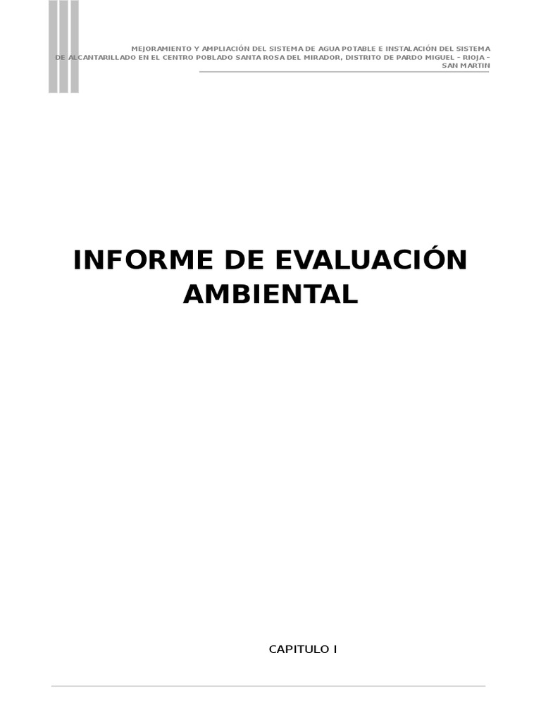 Informe de Impacto Ambiental de proyecto | Evaluación de impacto ...