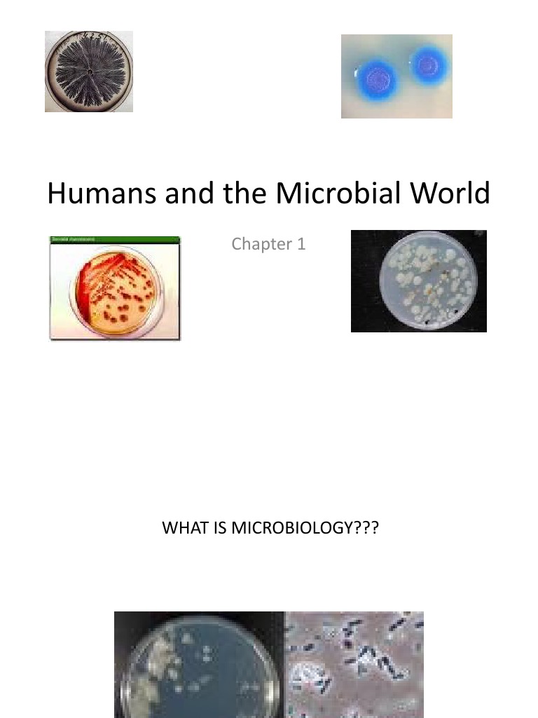 Introduction To Microbiology | PDF | Microorganism | Infection