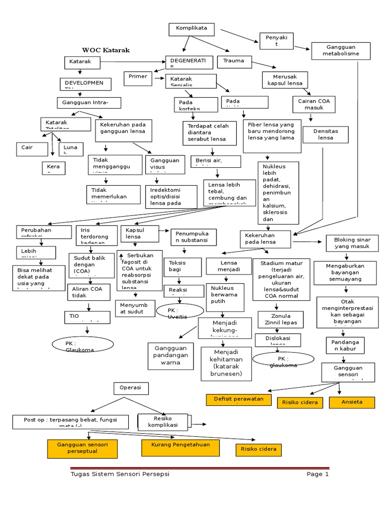 WOC Katarak | PDF | Sains & Matematika