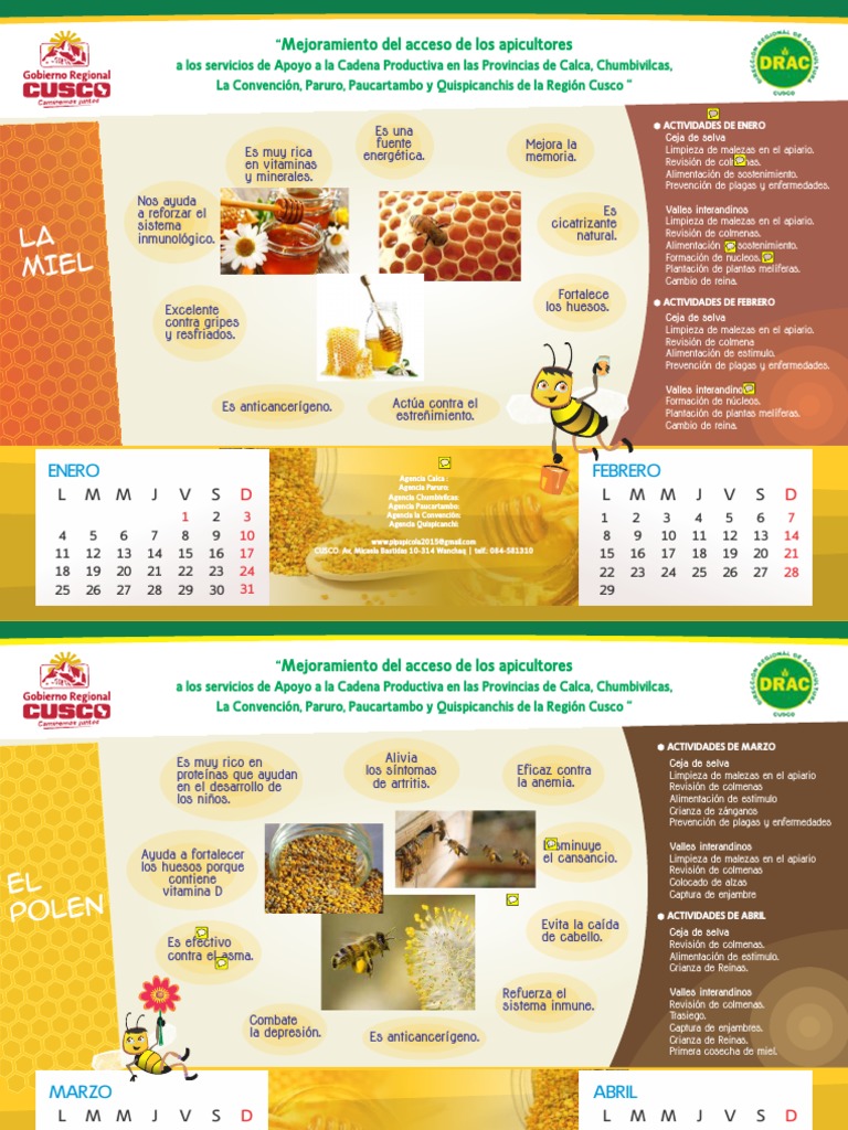 Calendario Apícola 2024-2025 en Cusco | PDF | Apicultura | Colmena