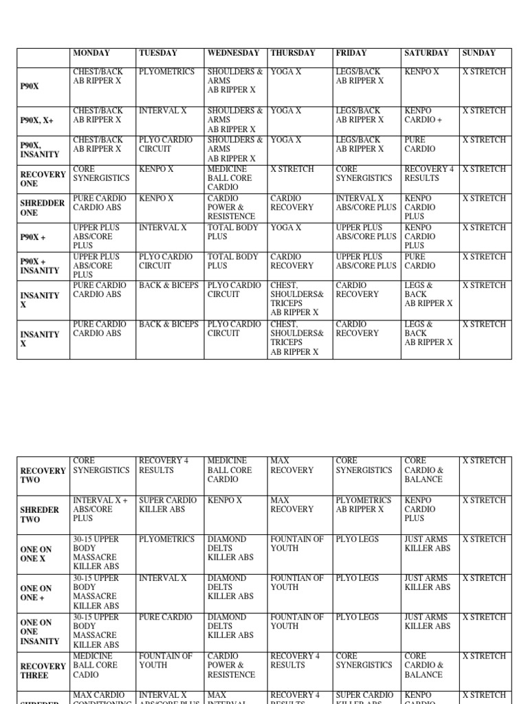 p90x-p90x Plus-One On One-Insanity Hybrid | PDF | Aerobic Exercise ...