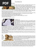 African Lion Reproduction and Life Cycle | PDF | Lion | Tiger