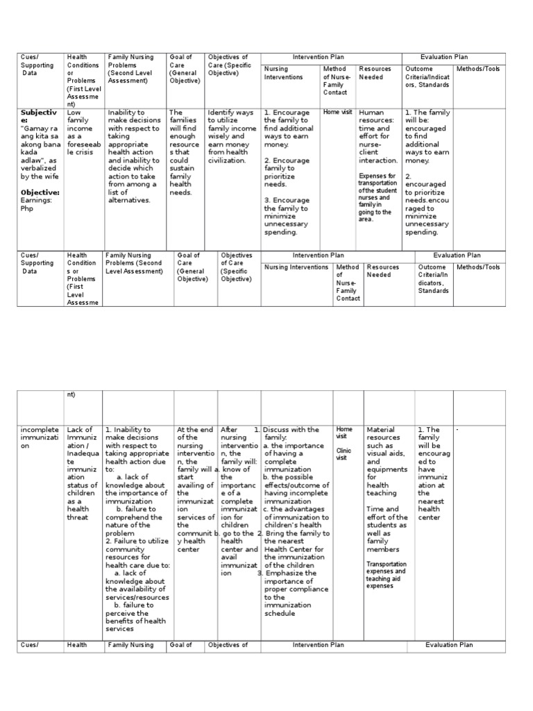 Family Care Plan | PDF | Nursing | Malnutrition