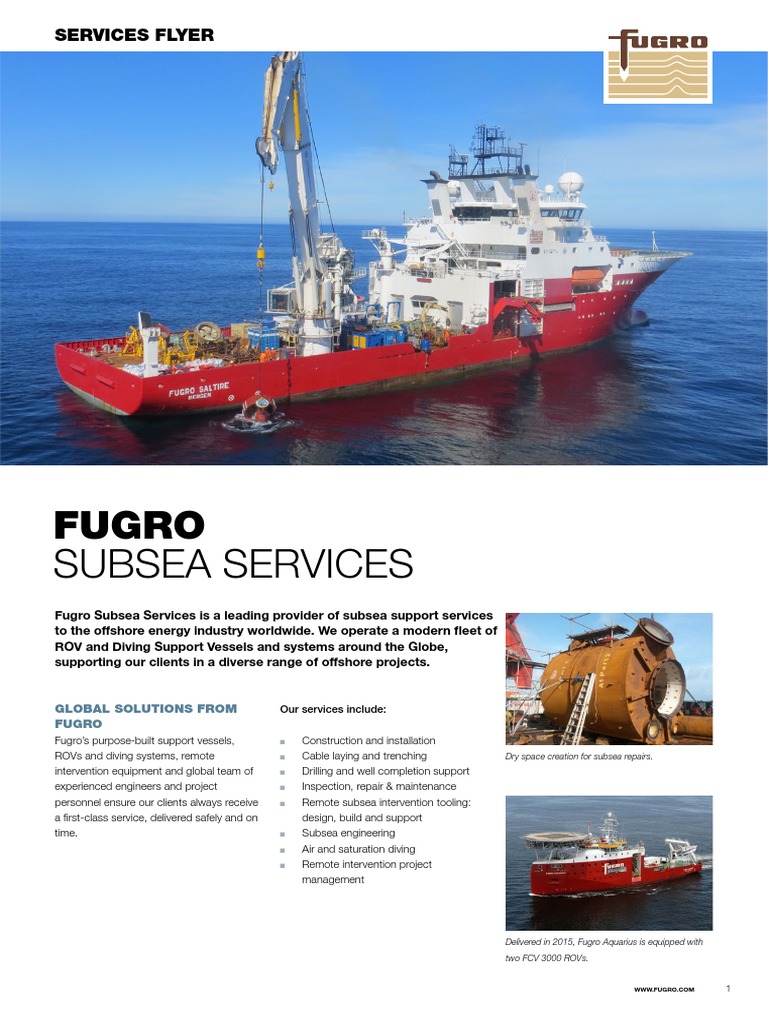 Subsea Services Flyer | PDF | Subsea (Technology) | Underwater Work