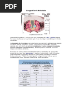 Niveles Axilares de Berg | PDF | Finanzas y administración del dinero