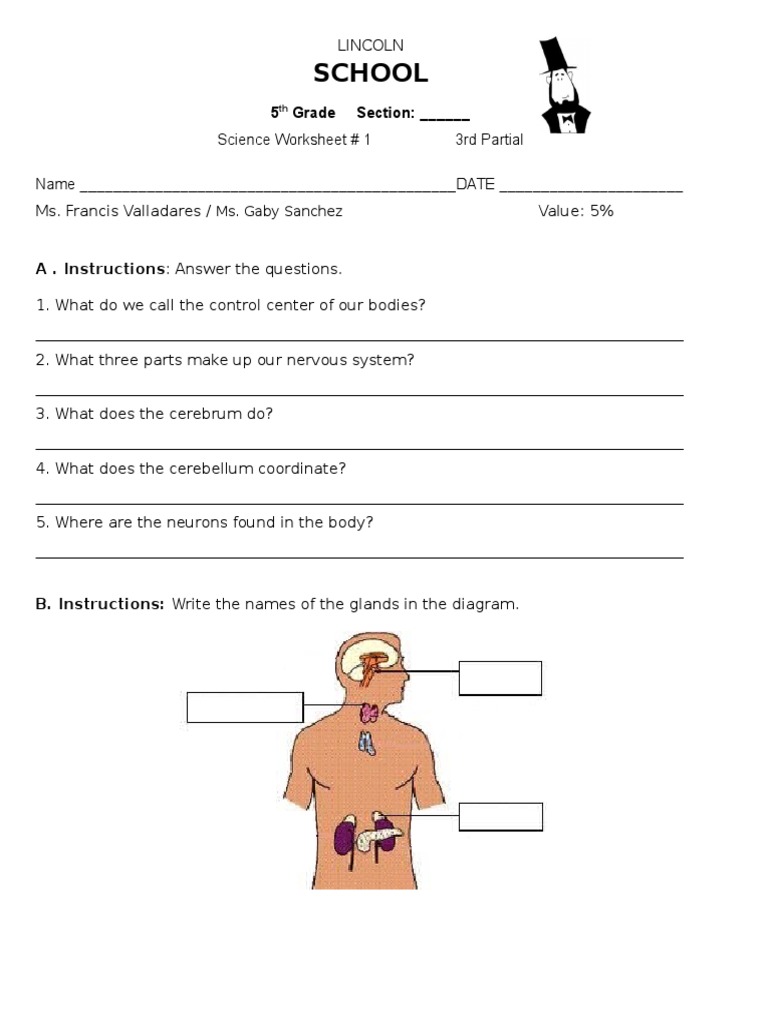 Science Worksheet 01 - 5th Grade - 3rd Partial | PDF | Career & Growth