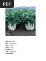 Agriculture SBA Broiler Production | PDF | Broiler | Chicken