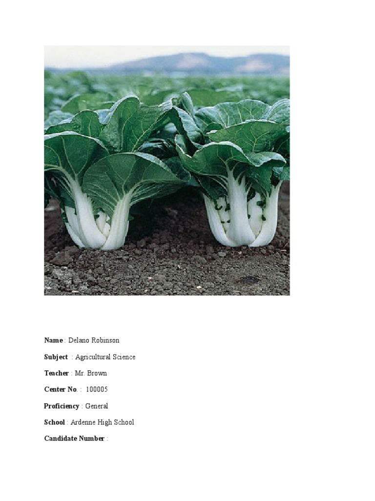 Agriculture SBA - Poultry #2 | PDF | Chicken | Poultry