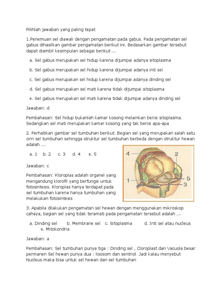 Soal Biologi Sel | PDF | Kajian Bahasa Asing | Sains & Matematika