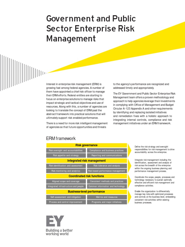 EY-Government-and-Public-Sector-Enterprise-Risk-Management.pdf | Risk ...