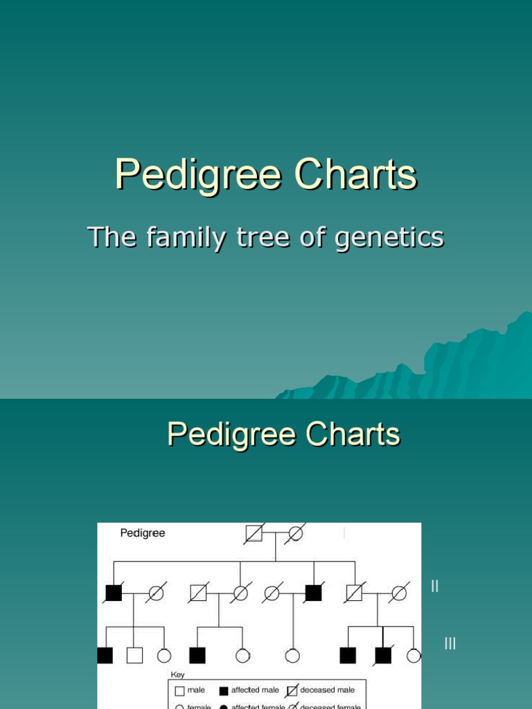 How to Read Pedigree Charts | PDF | Dominance (Genetics) | Plasmid