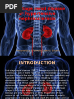Sample Case Study | PDF | Chronic Kidney Disease | Renal Function