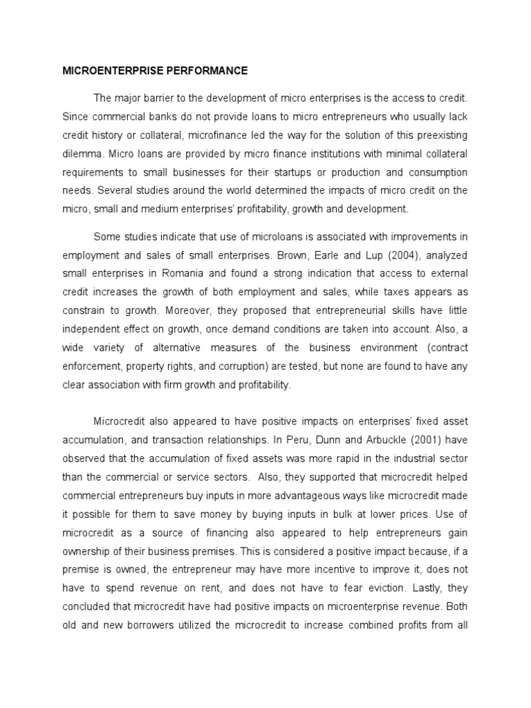The Impacts of Microcredit on Micro, Small and Medium Enterprise Performance: A Review of ...