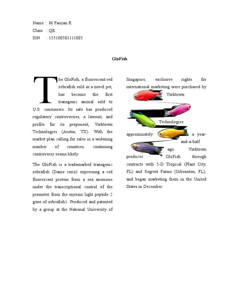 Glofish | PDF | Life Sciences | Biotechnology