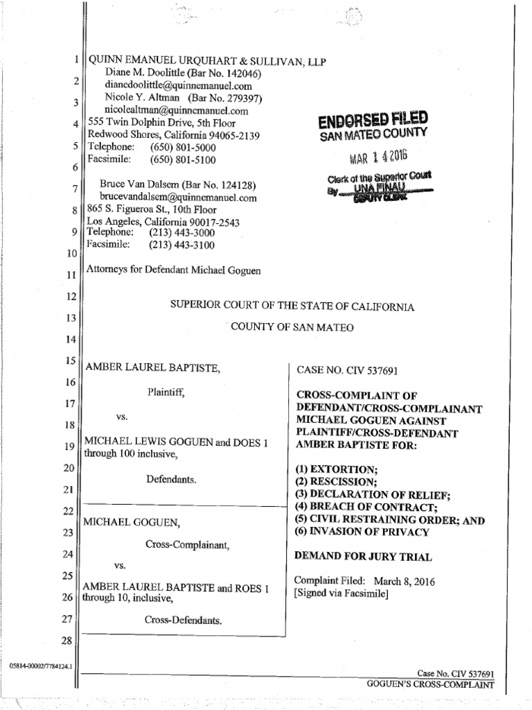 Cross Complaint - Michael Goguen vs. Amber Lauren Baptiste | PDF