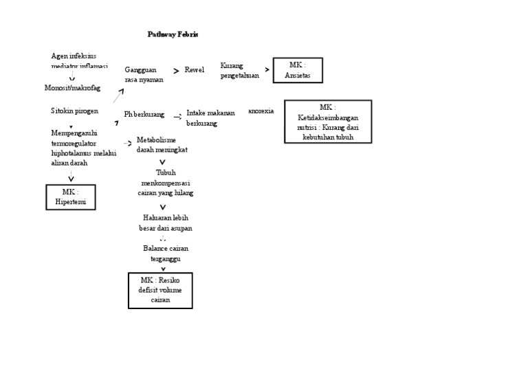 Pathway Febris | PDF | Kesehatan Holistik