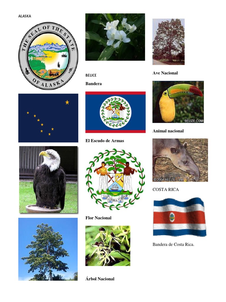 13 Ideas De Simbolos Patrios Simbolos Patrios Puerto Rico Bandera De