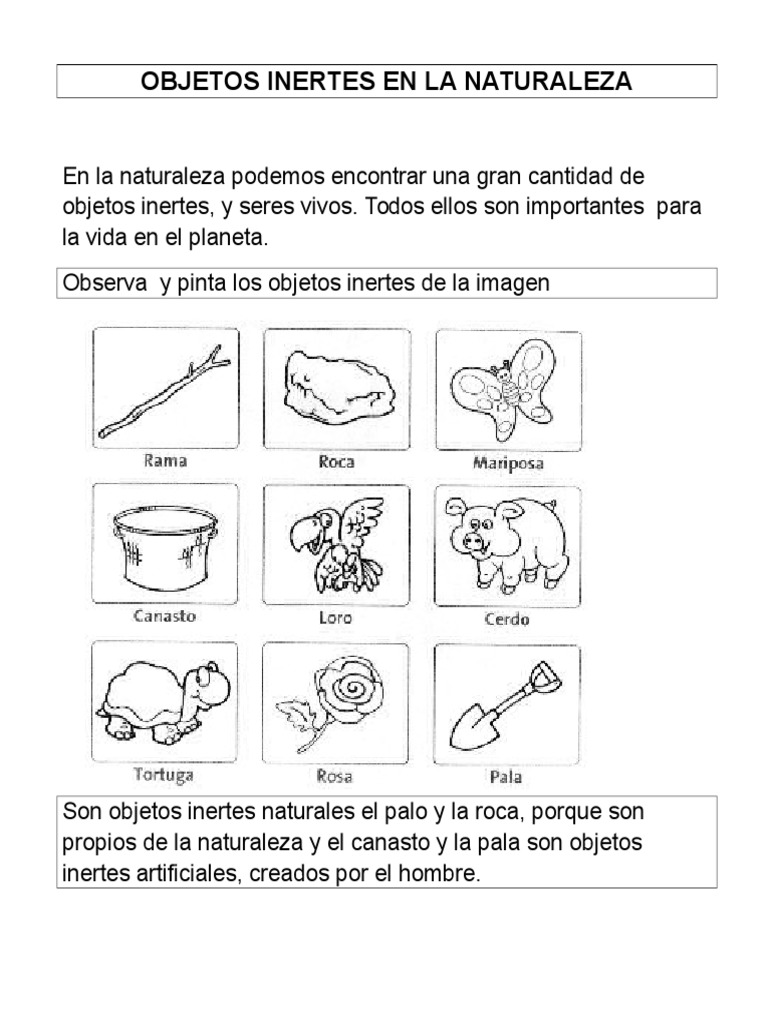 Objetos Inertes en la Naturaleza | PDF | Organismos | Naturaleza